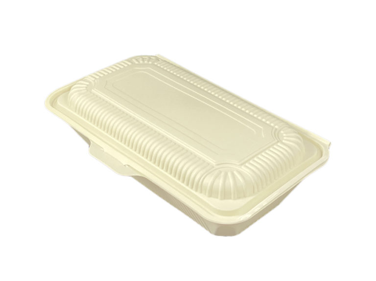 Greendish | Two compartment takeout food Container